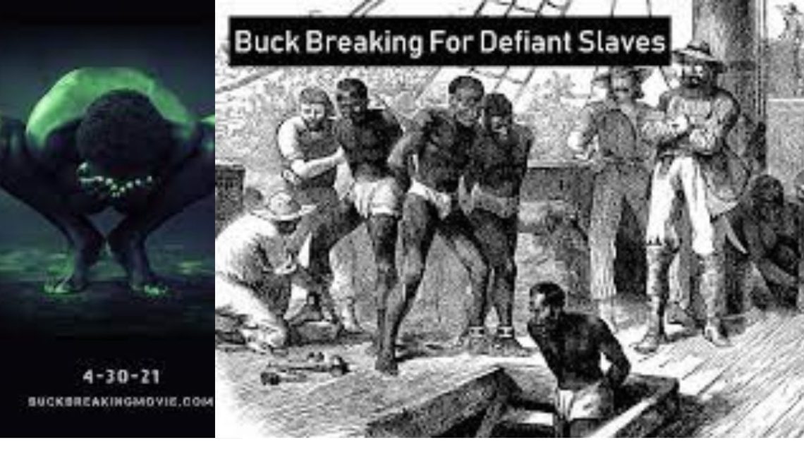 Buck Breaking: Unraveling the Painful Past and Its Lasting Impact ...